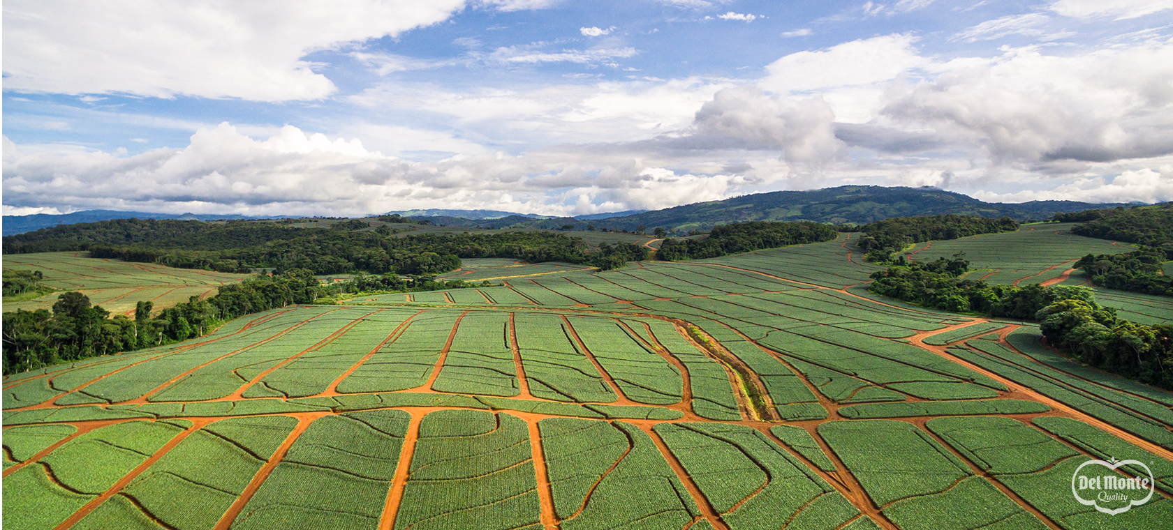 Del Monte Europe | Sustainability