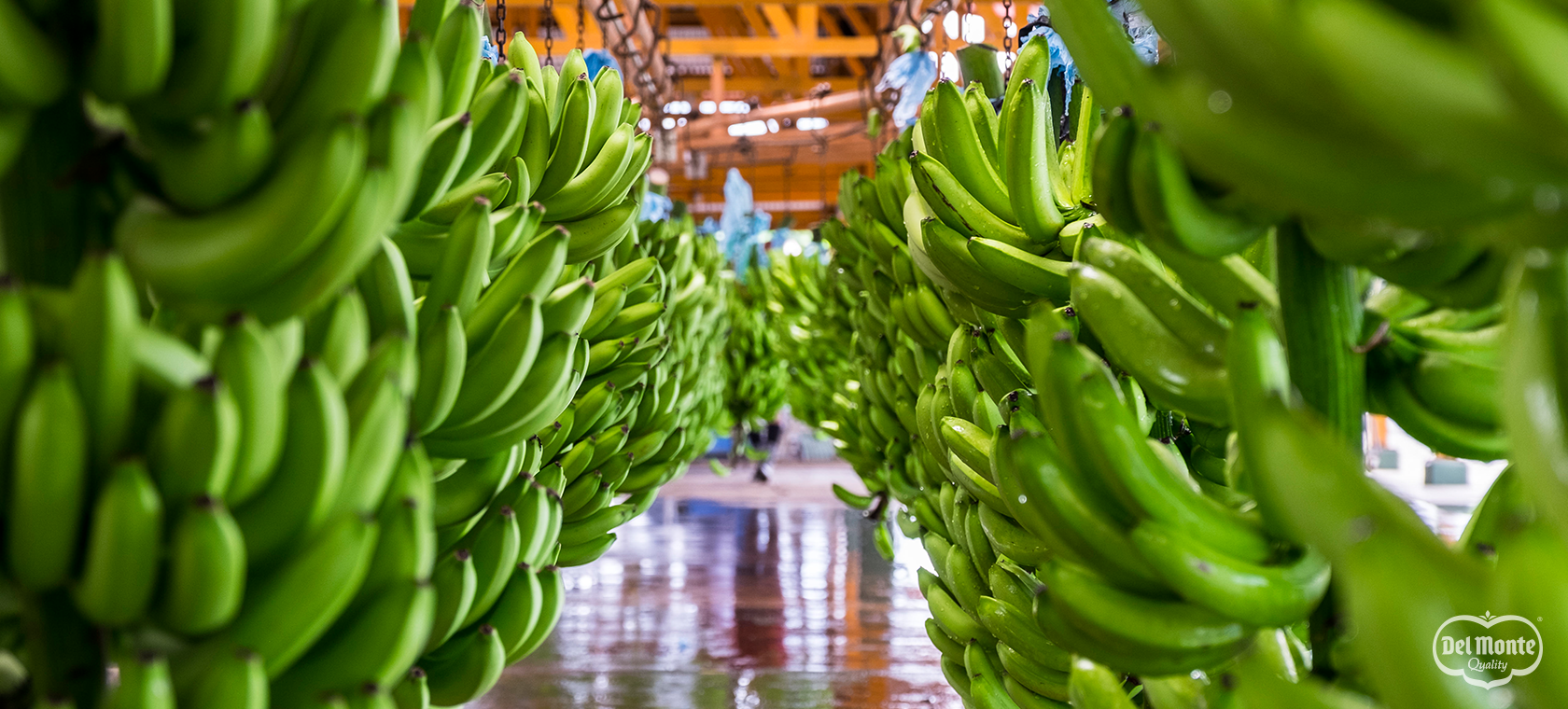 Del Monte Europe | Sustainability